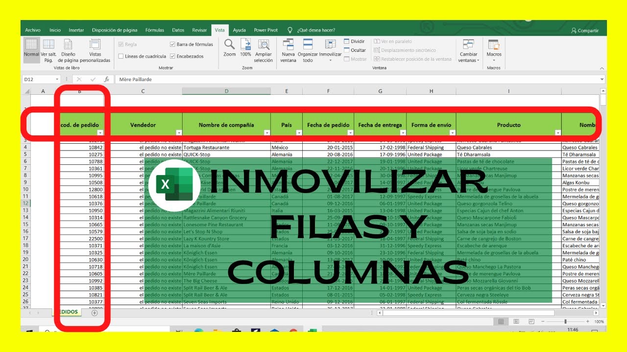 Cómo inmovilizar filas y columnas simultáneamente en Excel - Recursos Excel